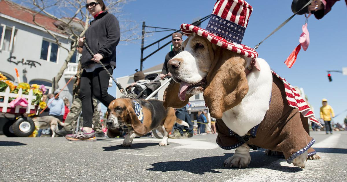 NJIB's Guide to New Jersey April Events and Festivals 2026